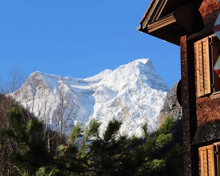 Uri, Vierwaldstättersee, Isenthal 8 | Caritas-Bergeinsatz