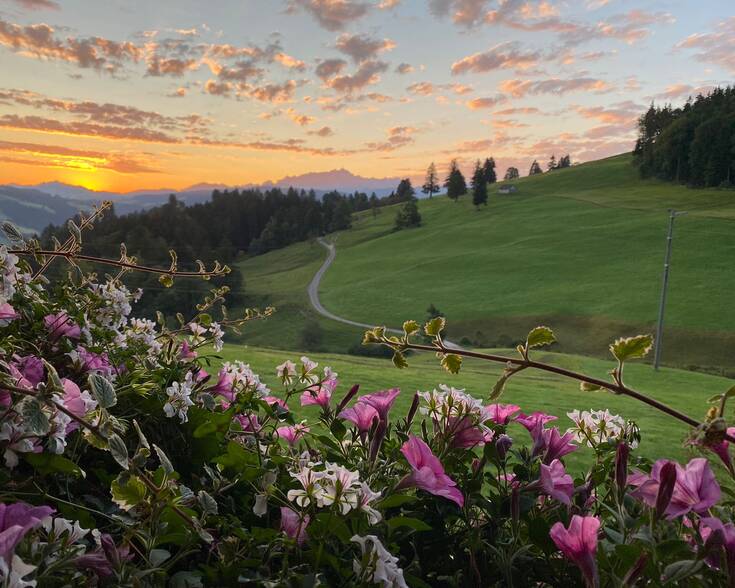 St. Gallen, Toggenburg, Wattwil | Caritas-Bergeinsatz