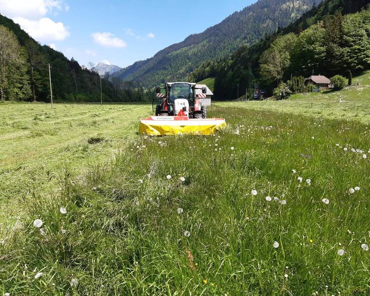 Freiburg, Gruyère, Im Fang | Caritas-Bergeinsatz