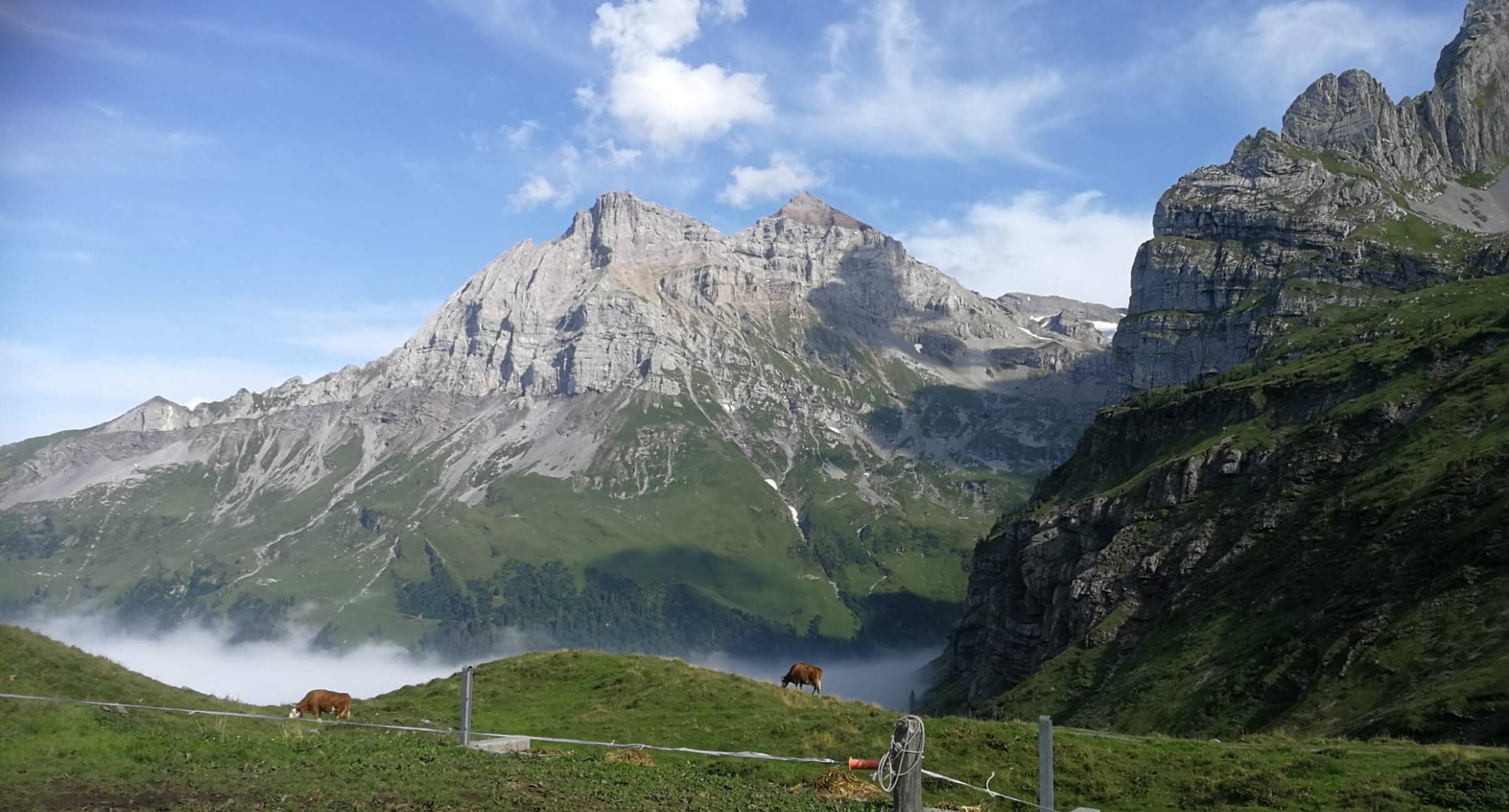 Uri, Vierwaldstättersee, Isenthal 7 | Caritas-Bergeinsatz