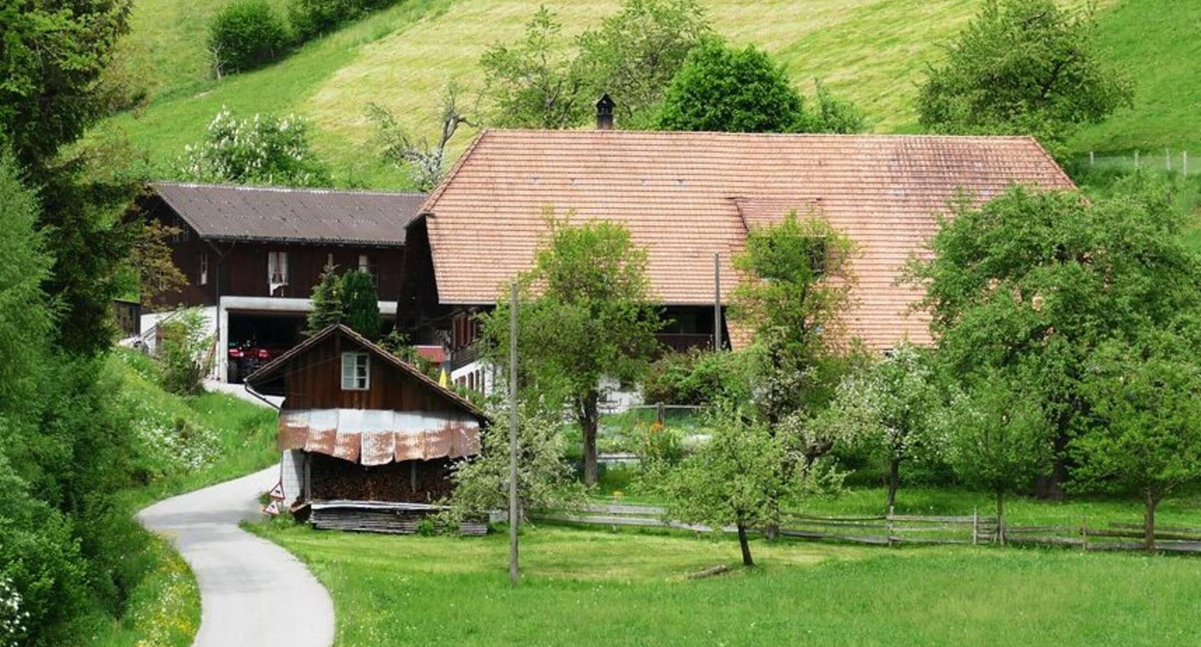 Bern, Emmental, Bigletal | Caritas-Bergeinsatz