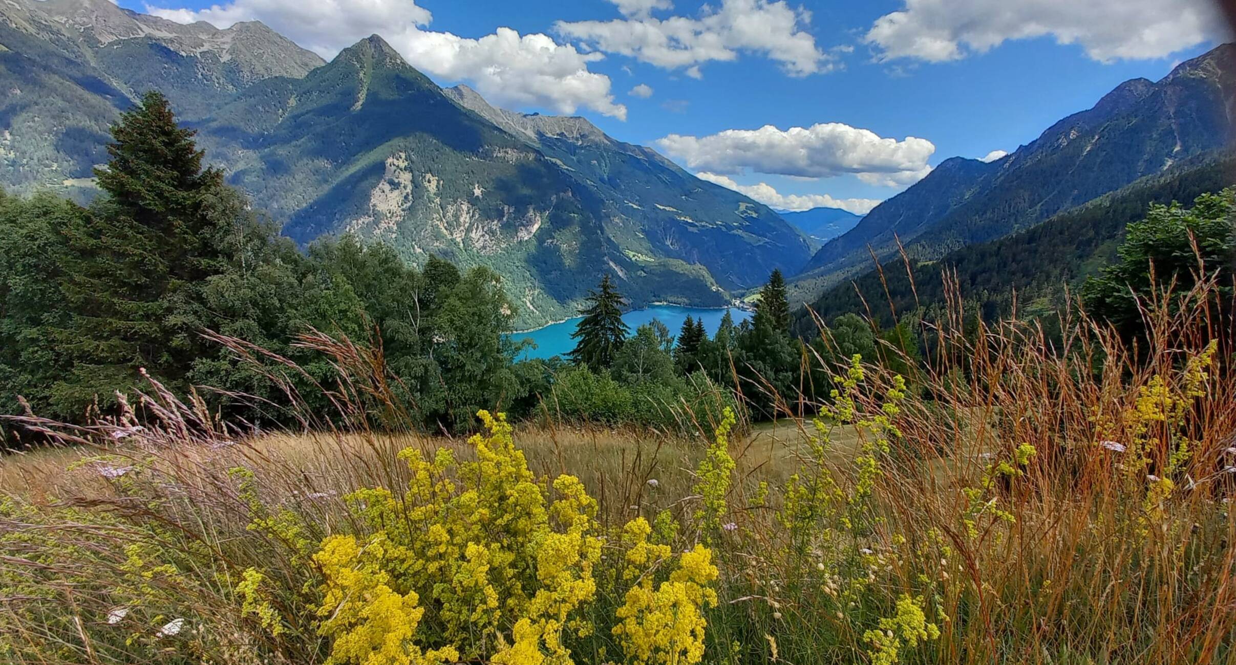 Graubünden, Val Poschiavo, Li Curt | Caritas-Bergeinsatz